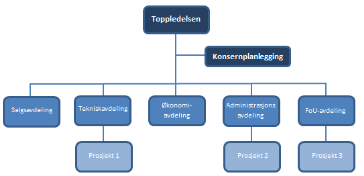 Prosjektorganisasjon og prosjektorganisering Prosjektorganisasjon og prosjektorganisering