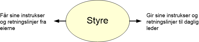 Styreroller og styrets organisering